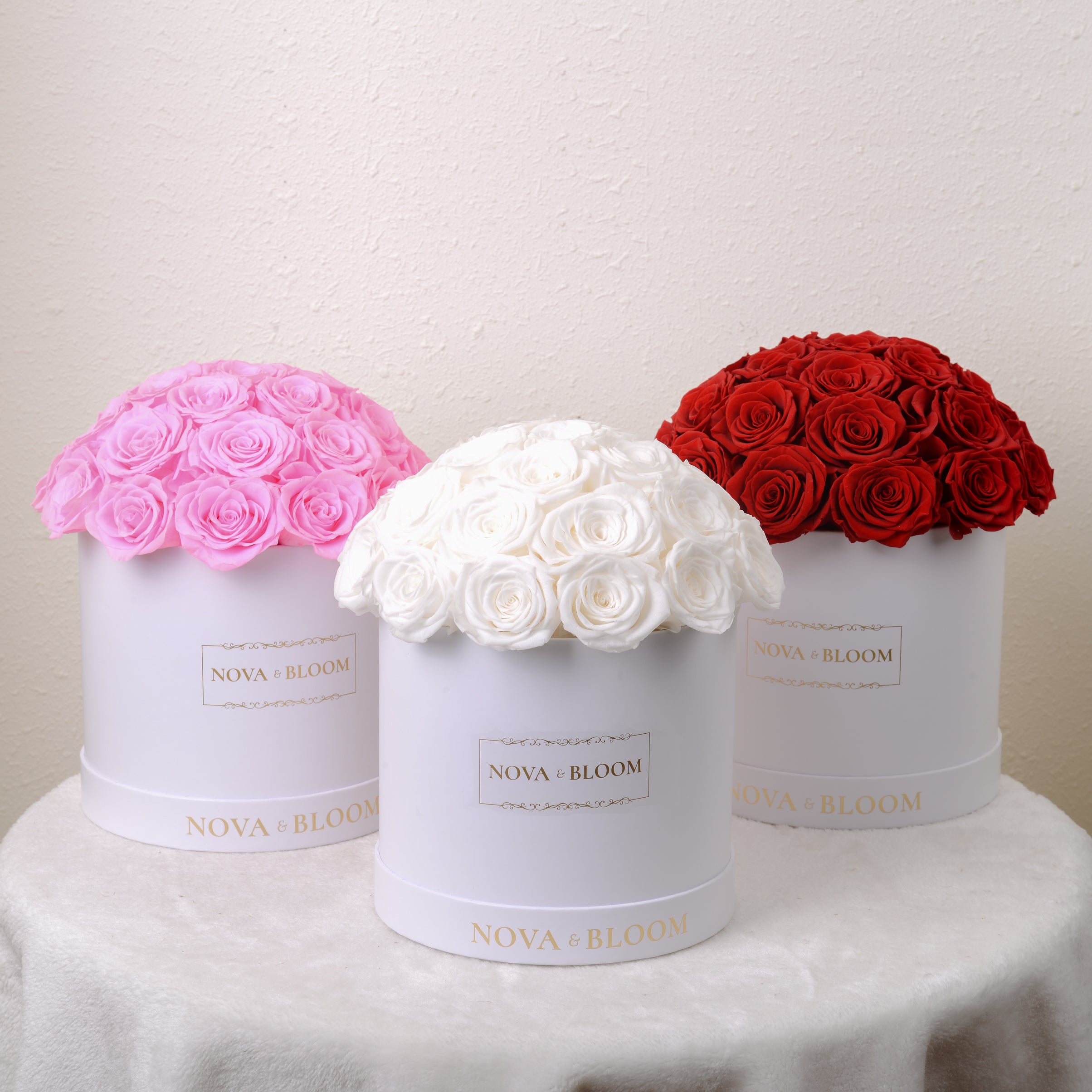 Large Eternal Blooms – Nova & Bloom